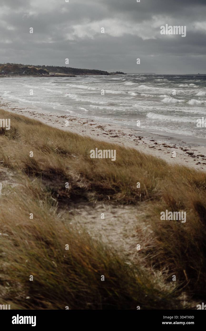 Coastal landscapes gotland rocky hi-res stock photography and images ...