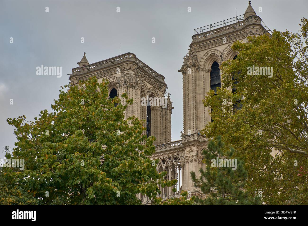 Notre Dame Cathedral rises imposingly with its symmetrical Gothic ...