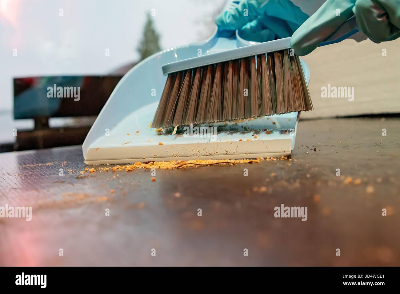 Hand in rubber glove sweeping bread crumbs into dustpan with brush ...