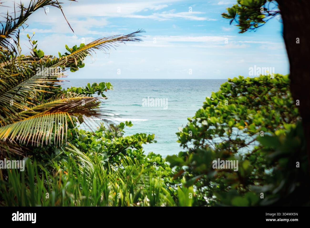 Ocean view in puerto hi-res stock photography and images - Alamy