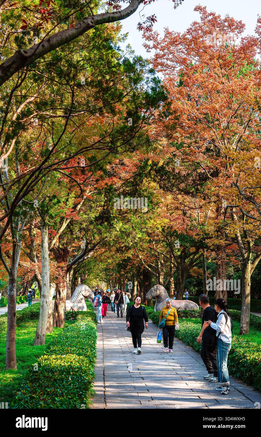 Nanjing ming tomb hi-res stock photography and images - Alamy