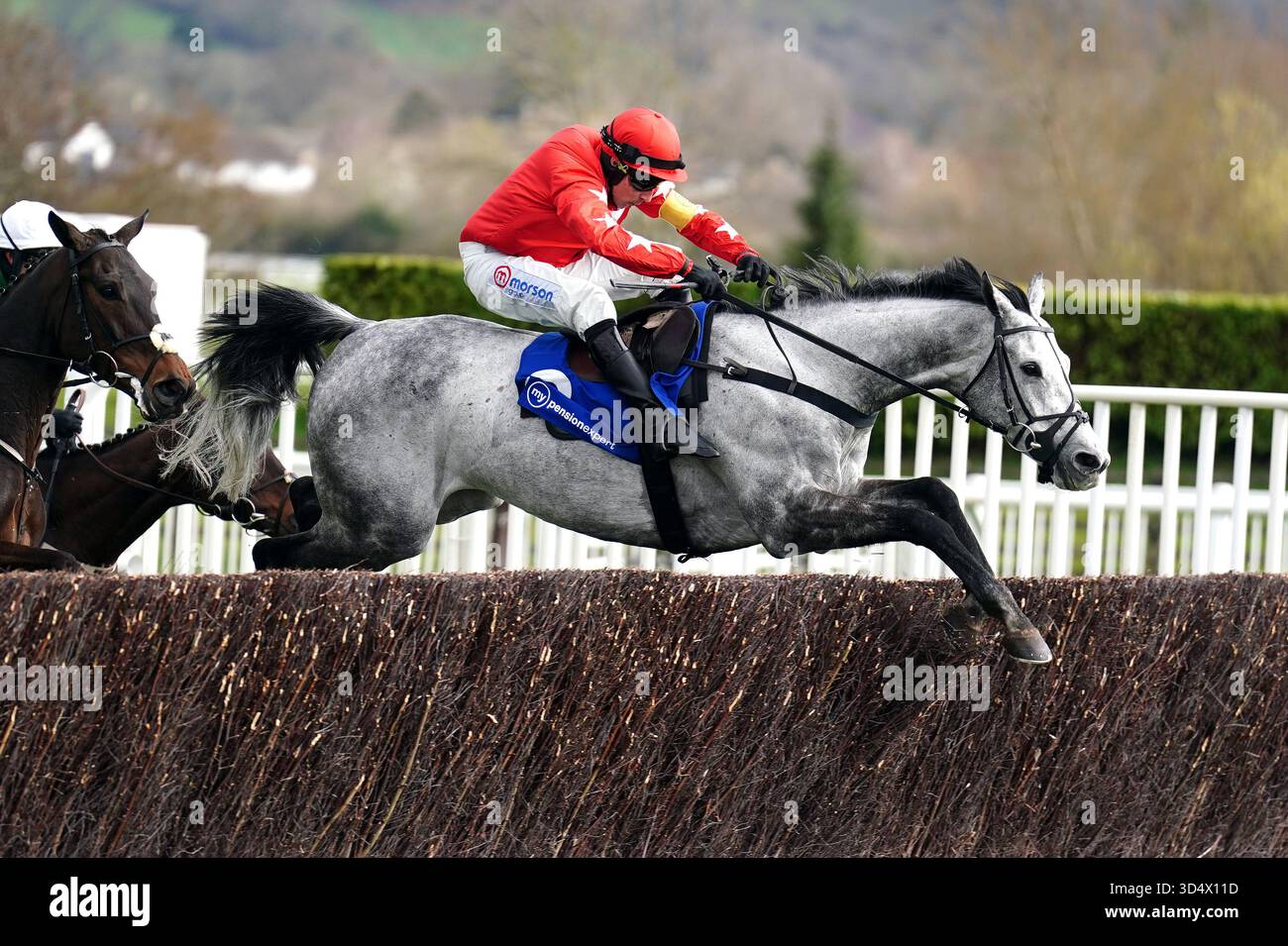File photo dated 11-03-2025 of L'Eau Du Sud who is put forward as a ...