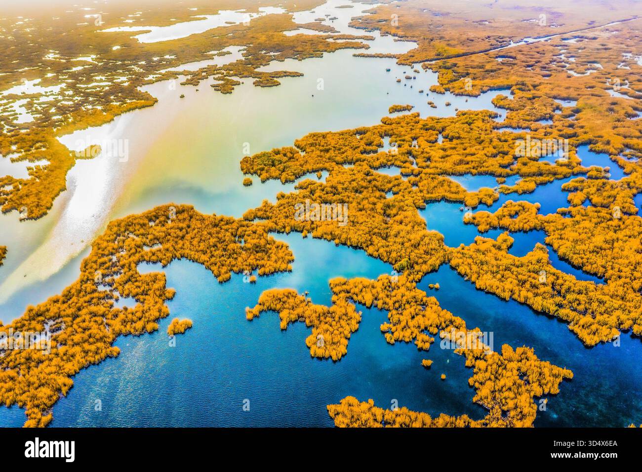 BOSTEN, CHINA - OCTOBER 23, 2025 - Bosten Lake Wetland, the largest ...