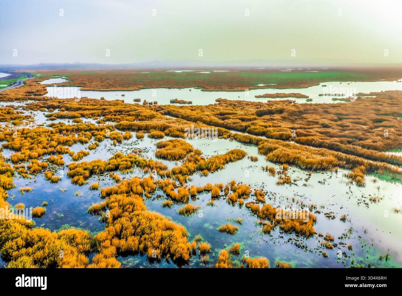 BOSTEN, CHINA - OCTOBER 23, 2025 - Bosten Lake Wetland, the largest ...