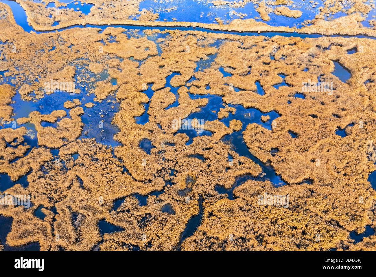 BOSTEN, CHINA - OCTOBER 23, 2025 - Bosten Lake Wetland, the largest ...