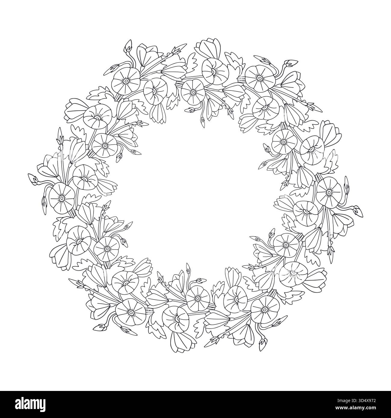 Hand drawn black and white line art canary islands flowers mallow ...