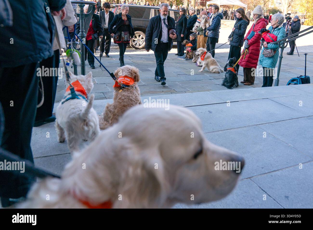 Dr. Jane Goodall's son Hugo Eric Louis van Lawick, walking center ...