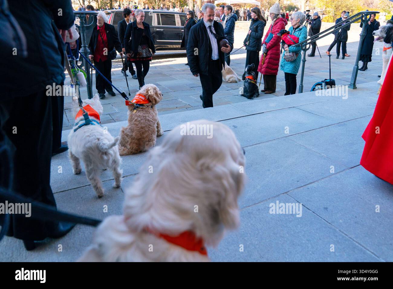 Dr. Jane Goodall's son Hugo Eric Louis van Lawick, walking center ...