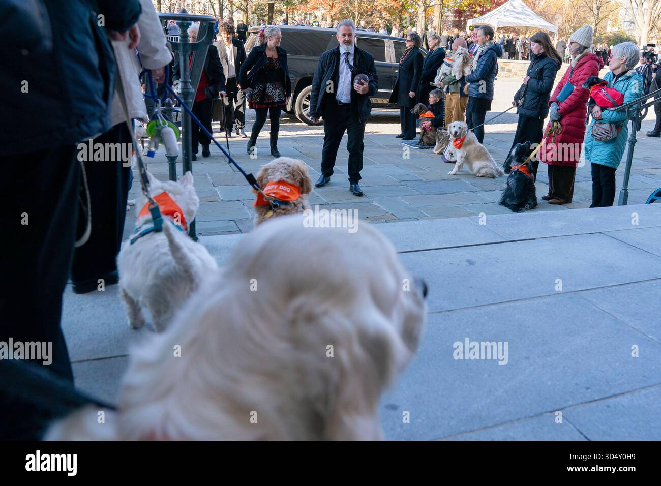 Dr. Jane Goodall's son Hugo Eric Louis van Lawick, walking center ...