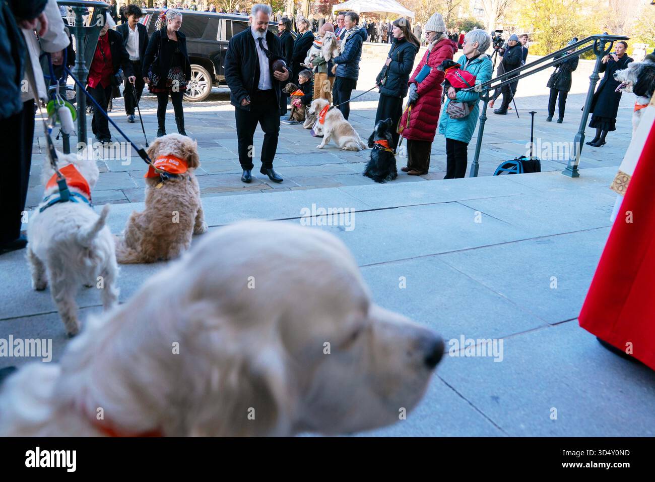 Jane Goodall's son Hugo Eric Louis van Lawick arrives with the ashes of ...