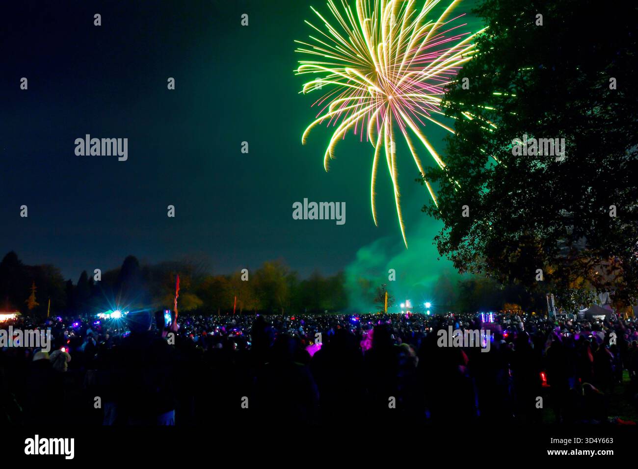 Leicester, Leicestershire, UK. 1st November 2025. Uk News A firework ...