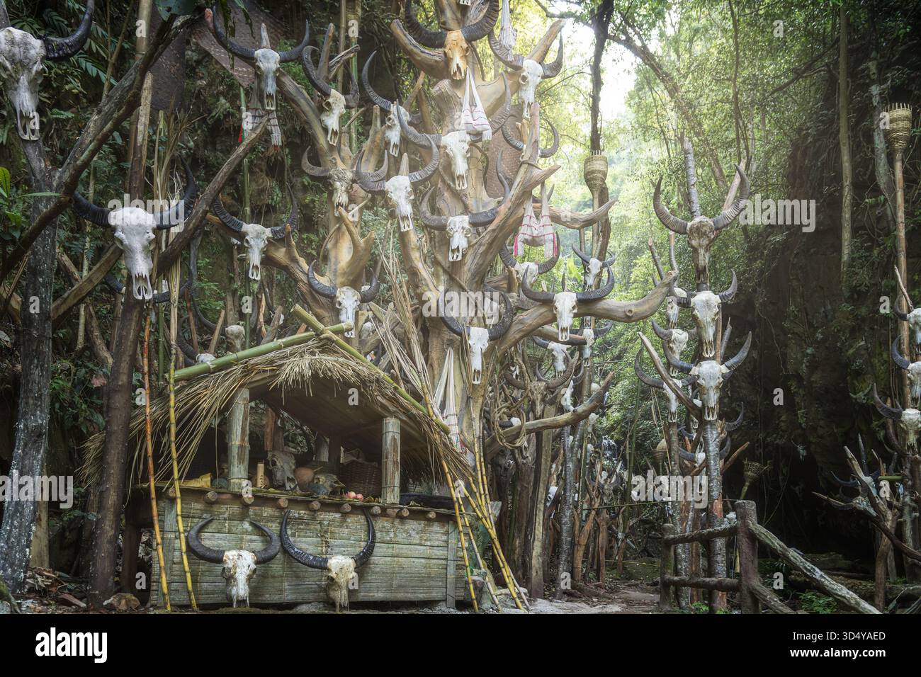 View of an eerie display of animal skulls adorns a structure and trees ...