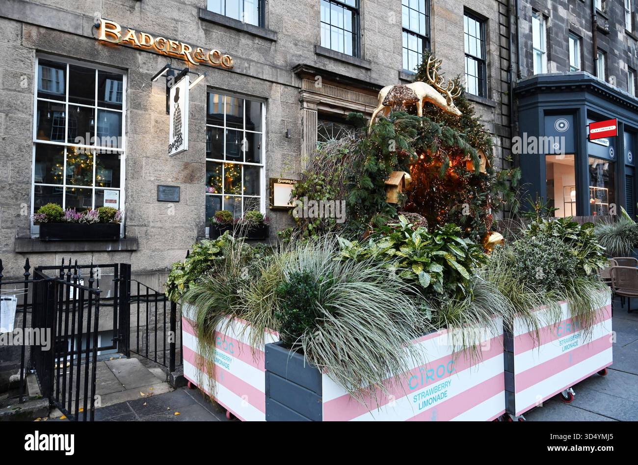 Pictured: Badger and Co bar looking festive as the month of December ...