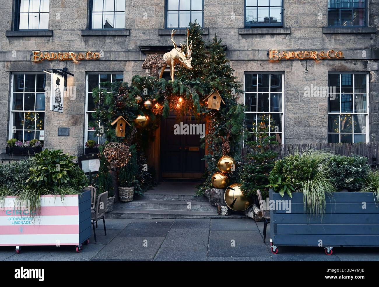 Pictured: Badger and Co bar looking festive as the month of December ...