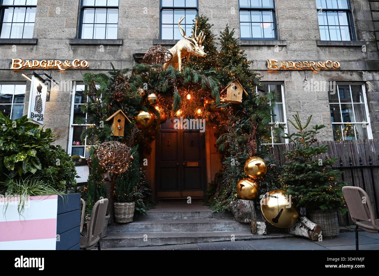Pictured: Badger and Co bar looking festive as the month of December ...