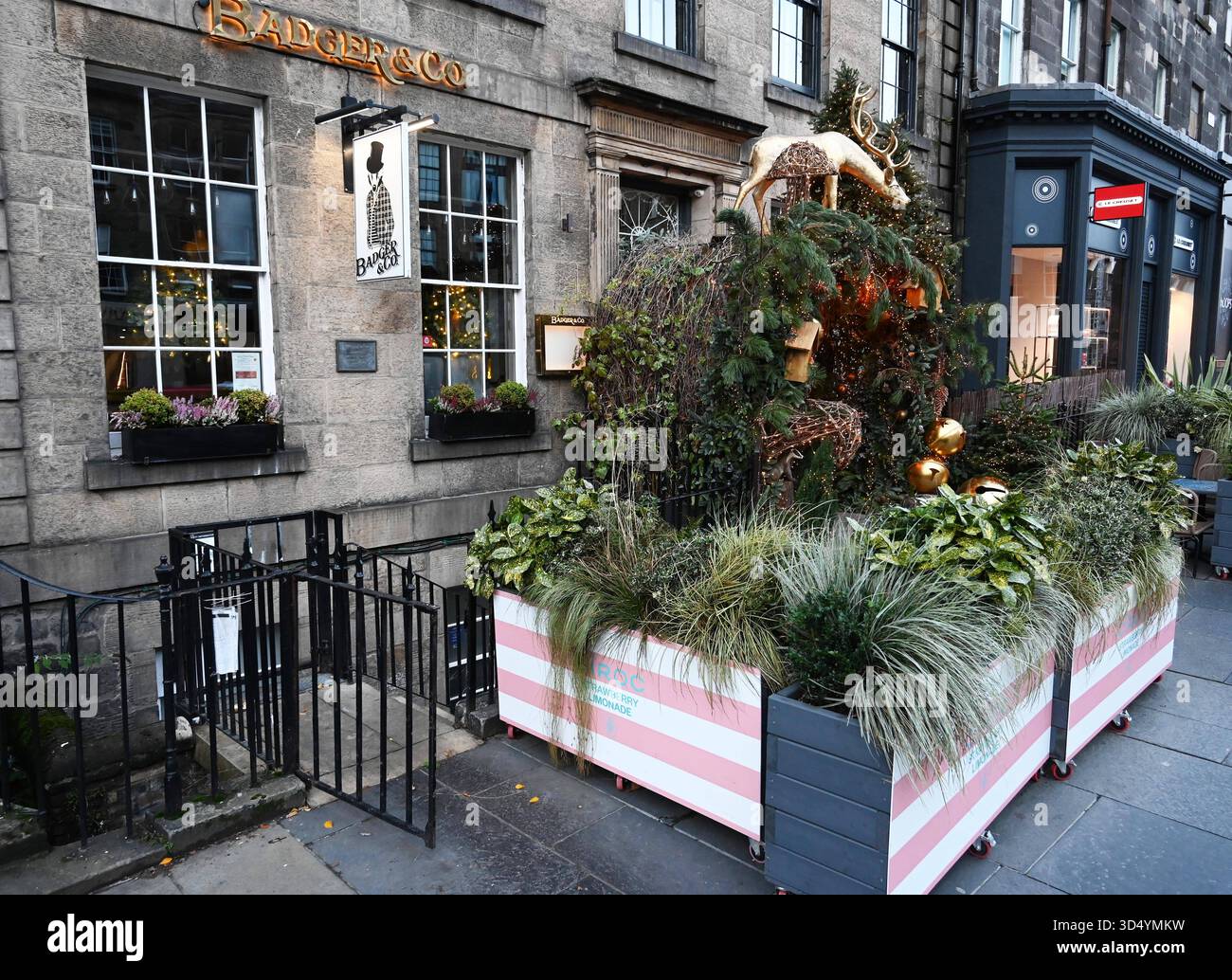 Pictured: Badger and Co bar looking festive as the month of December ...