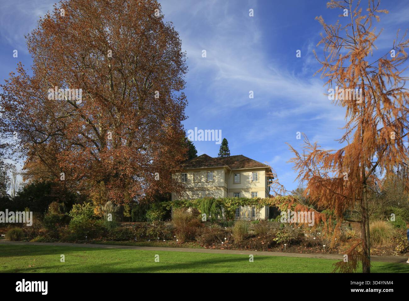 Playhouse in autumn, Exotic Garden of Hohenheim Castle, headquarters of ...
