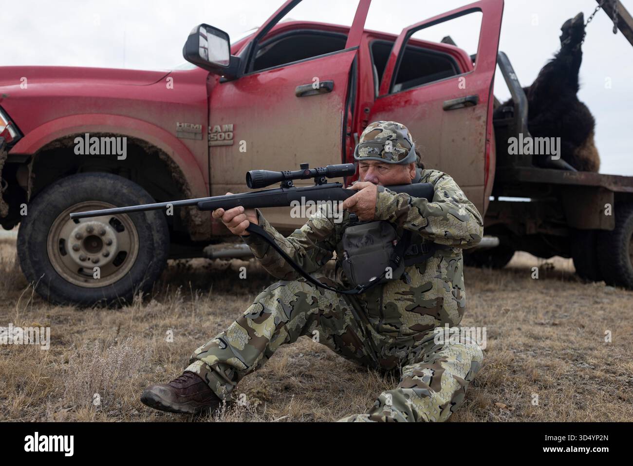 Buffalo manager Robert Magnan lines up a shot while harvesting buffalo ...