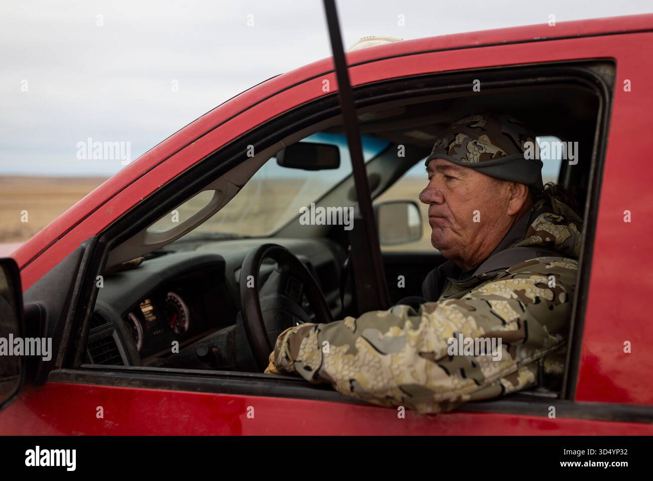 Buffalo manager Robert Magnan looks for buffalo at the Fort Peck ...