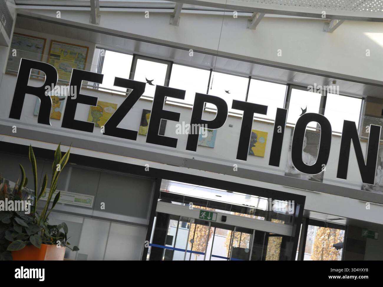 Hotel reception desk at the entrance, travel and tourism industry Hotel ...