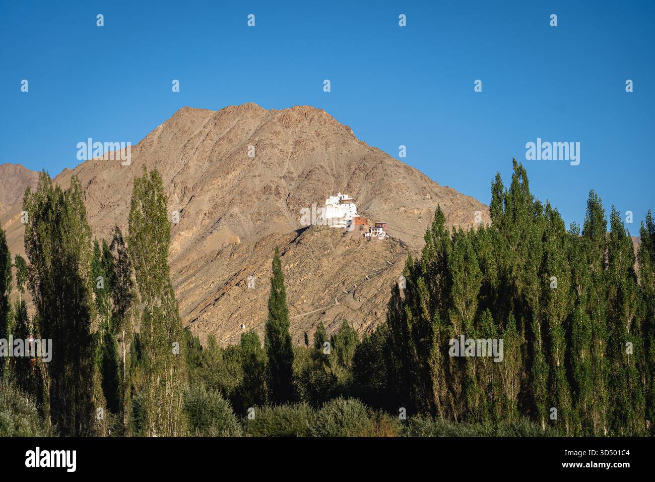 Namgyal Tsemo Monastery and Tsemo Castle in Leh, Ladakh Stock Photo - Alamy