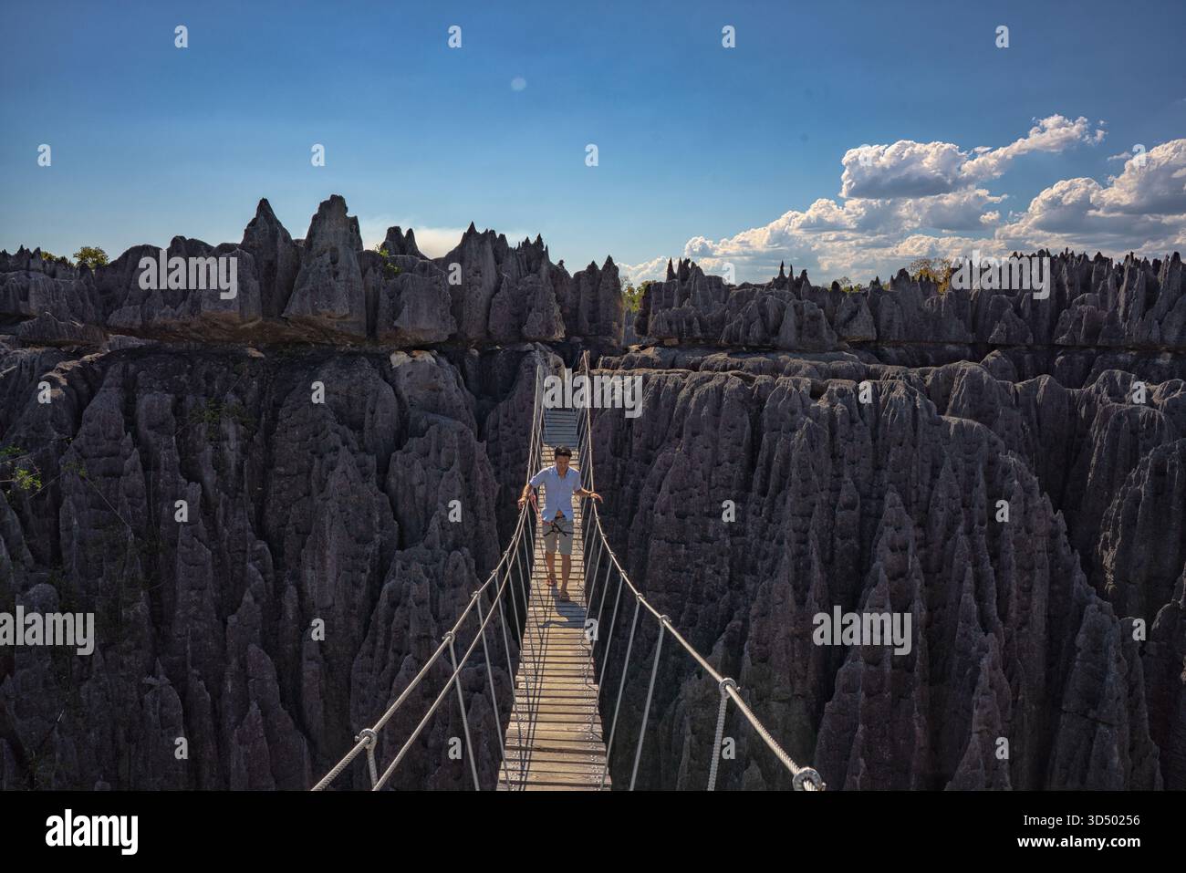 The Tsingy Stone Forest of Madagascar Stock Photo - Alamy