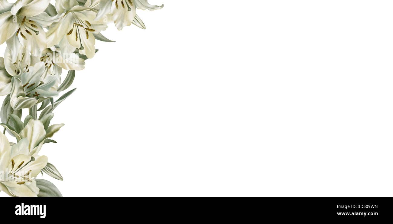 White lily flower and leaves in cemicircular template as a symbol of ...
