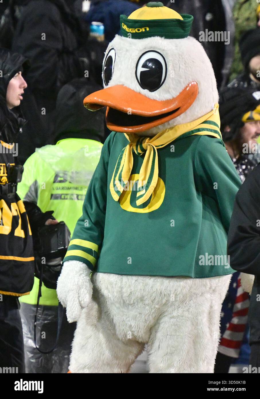 IOWA CITY, IA - NOVEMBER 08: The Oregon mascot, Puddles the Duck, as ...