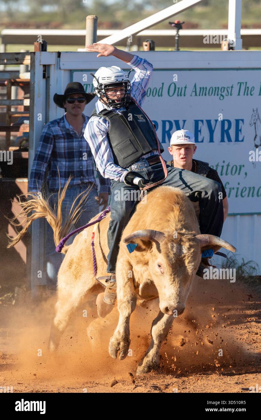 Bull Riding, Stonehenge, Queensland, Australia Stock Photo - Alamy