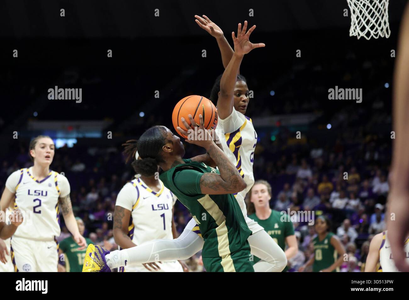 Charlotte 49ers guard Tanajah Hayes (3) attempts a jumper against LSU ...
