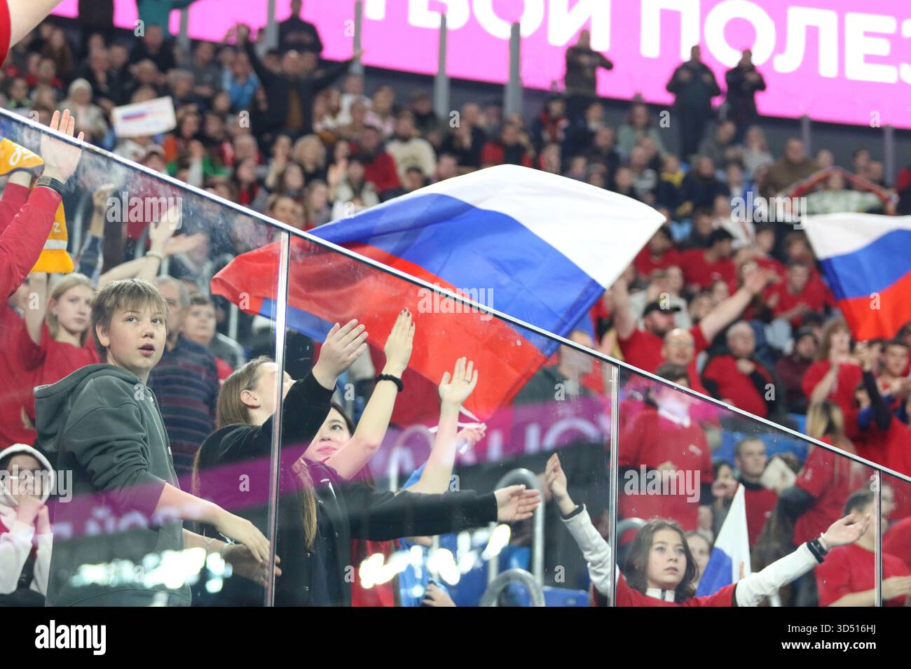 Funs of Russia seen during the BetBoom friendly soccer match between ...