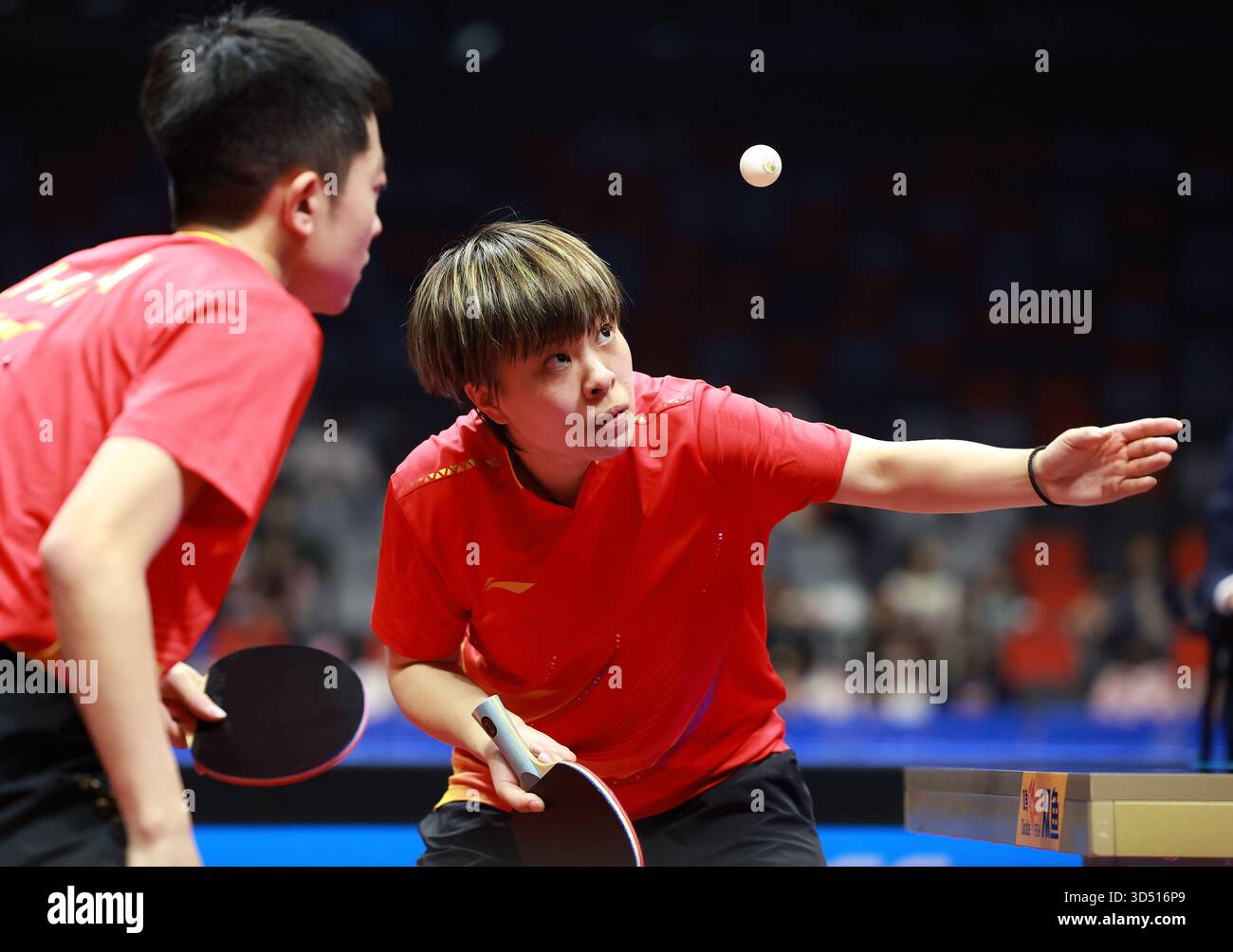 (251113) -- MACAO, Nov. 13, 2025 (Xinhua) -- Yuan Licen/Wang Yidi (R ...