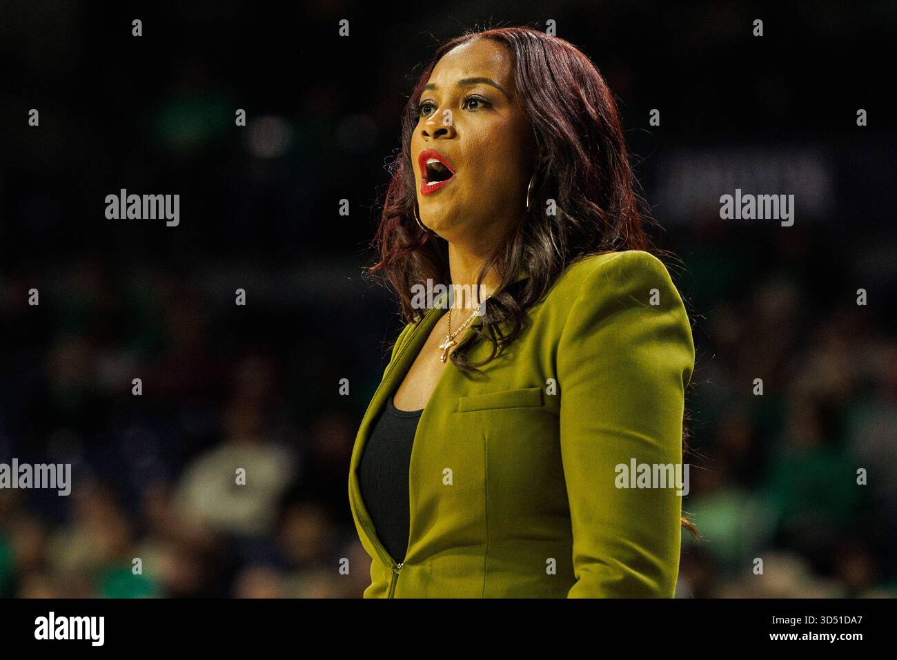 Niele ivey hi-res stock photography and images - Alamy