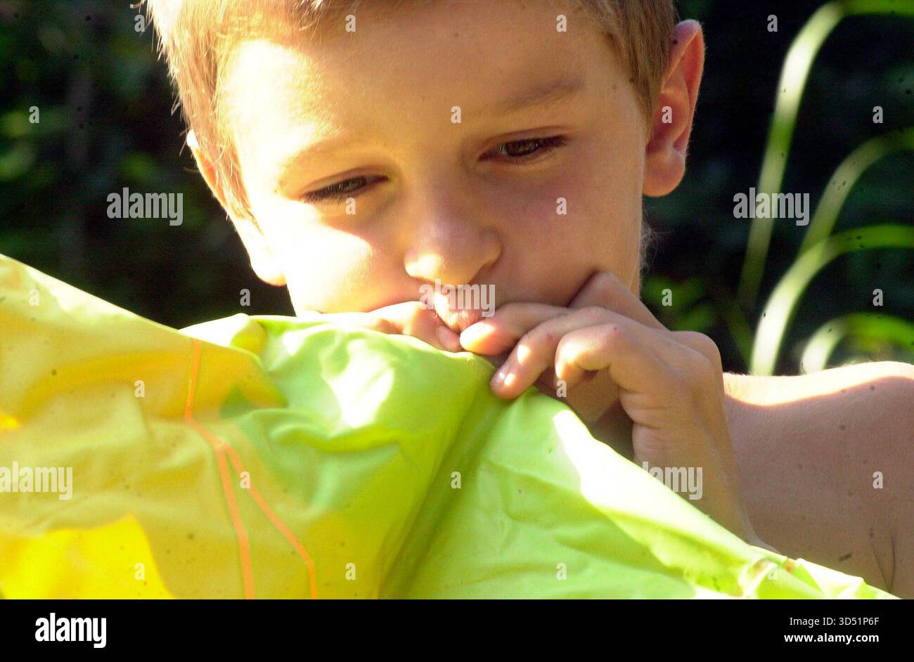 young people,children and childhood in nature children and childhood in ...