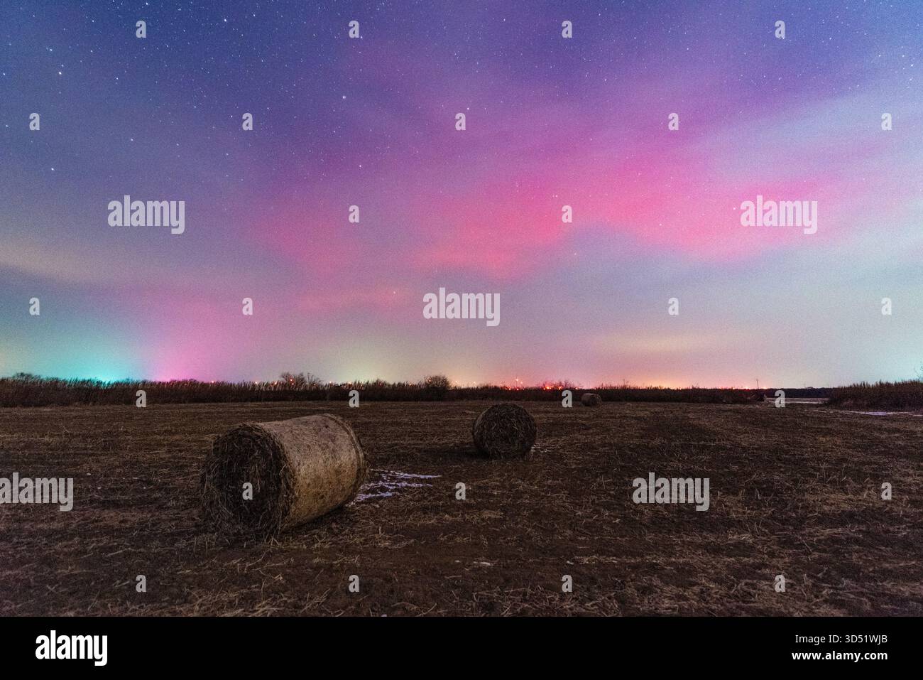 (251113) -- HARBIN, Nov. 13, 2025 (Xinhua) -- This photo taken on Nov ...