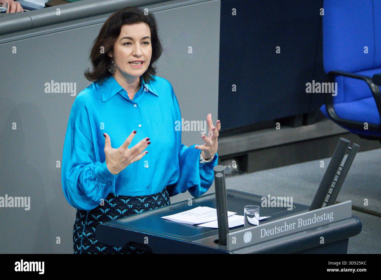 Deutscher Bundestag, 40. Plenarsitzung Dorothee Baer, Bundesministerin ...