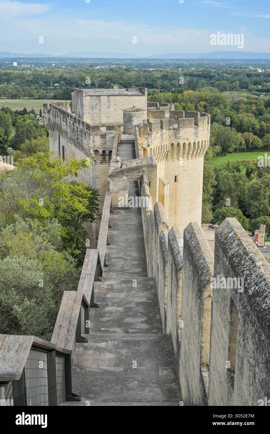 Burgmauer, Festung Fort Saint-Andre, Gemeinde Villeneuve-les-Avignon ...