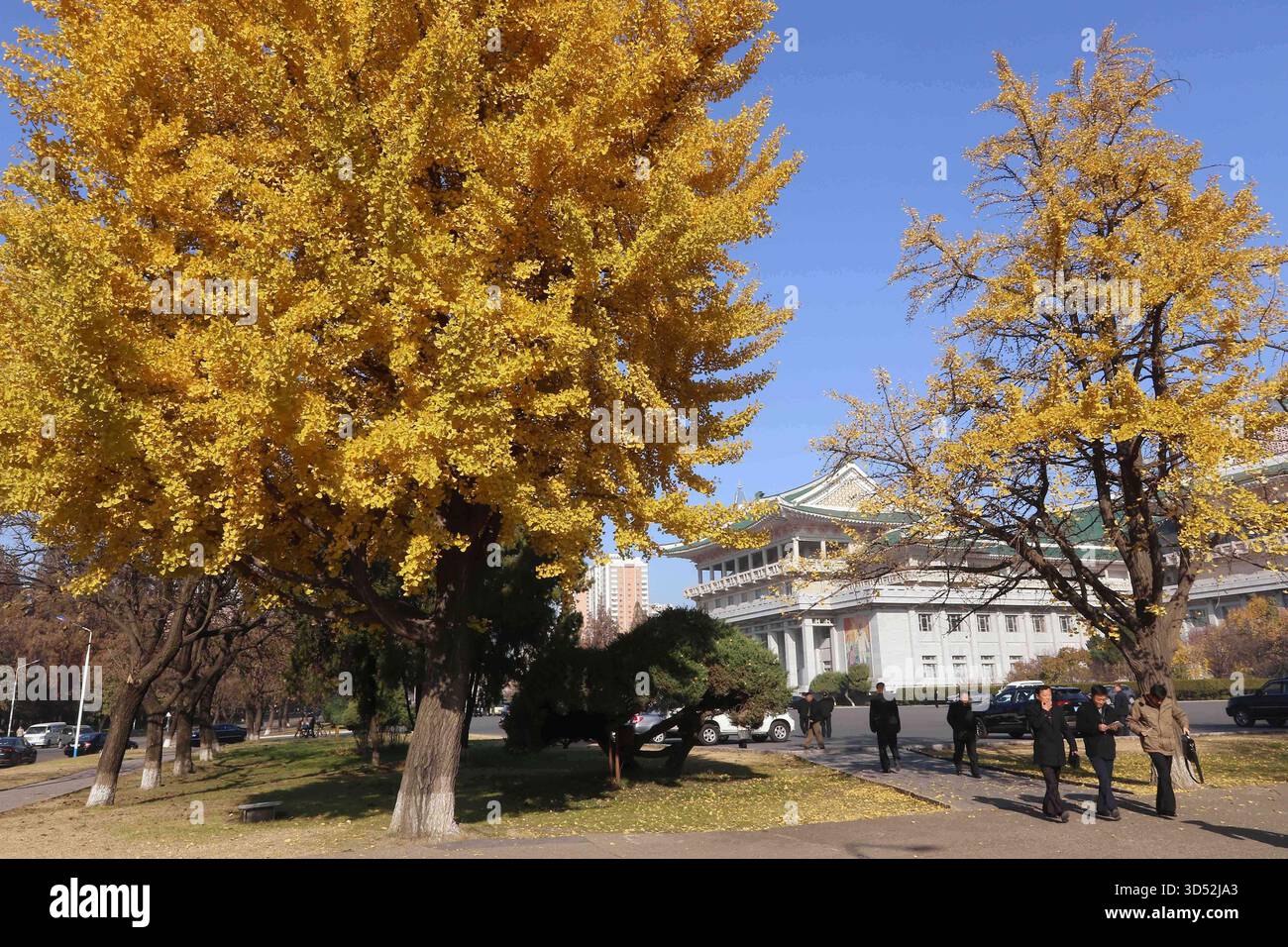 Pyongyang citizens walk on a street of Pothonggang District in ...