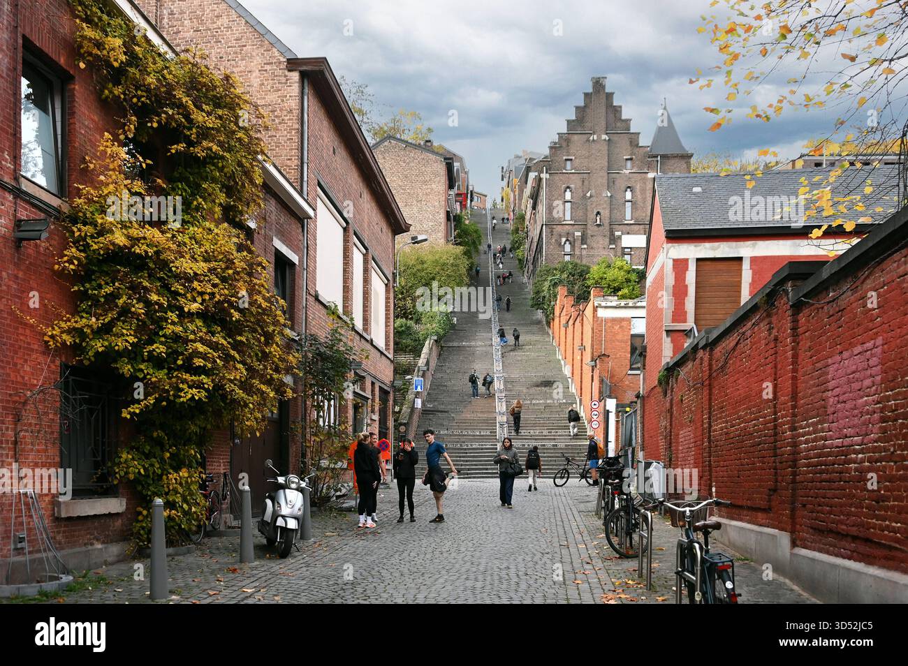 Die Treppe Montagne de Bueren im Stadtviertel Saint-Lambert, Lüttich ...