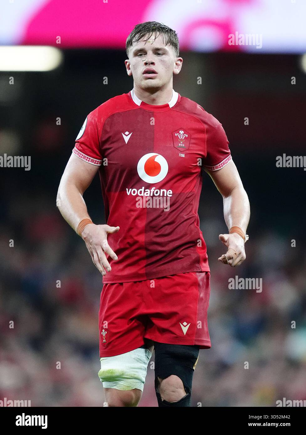 Wales' Alex Mann during the Quilter Nations Series match at ...