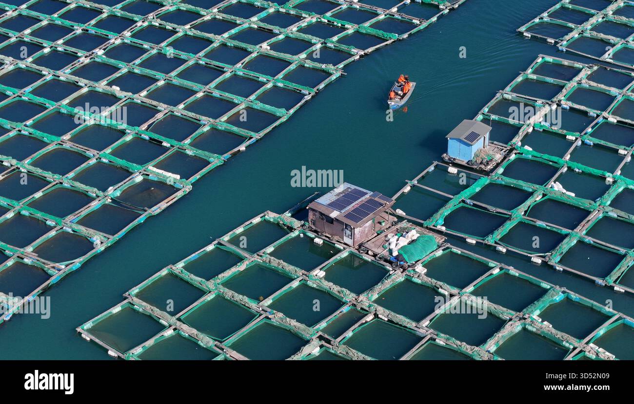 YANTAI, CHINA - NOVEMBER 13, 2025 - Ocean Ranch located in the Zhifu ...
