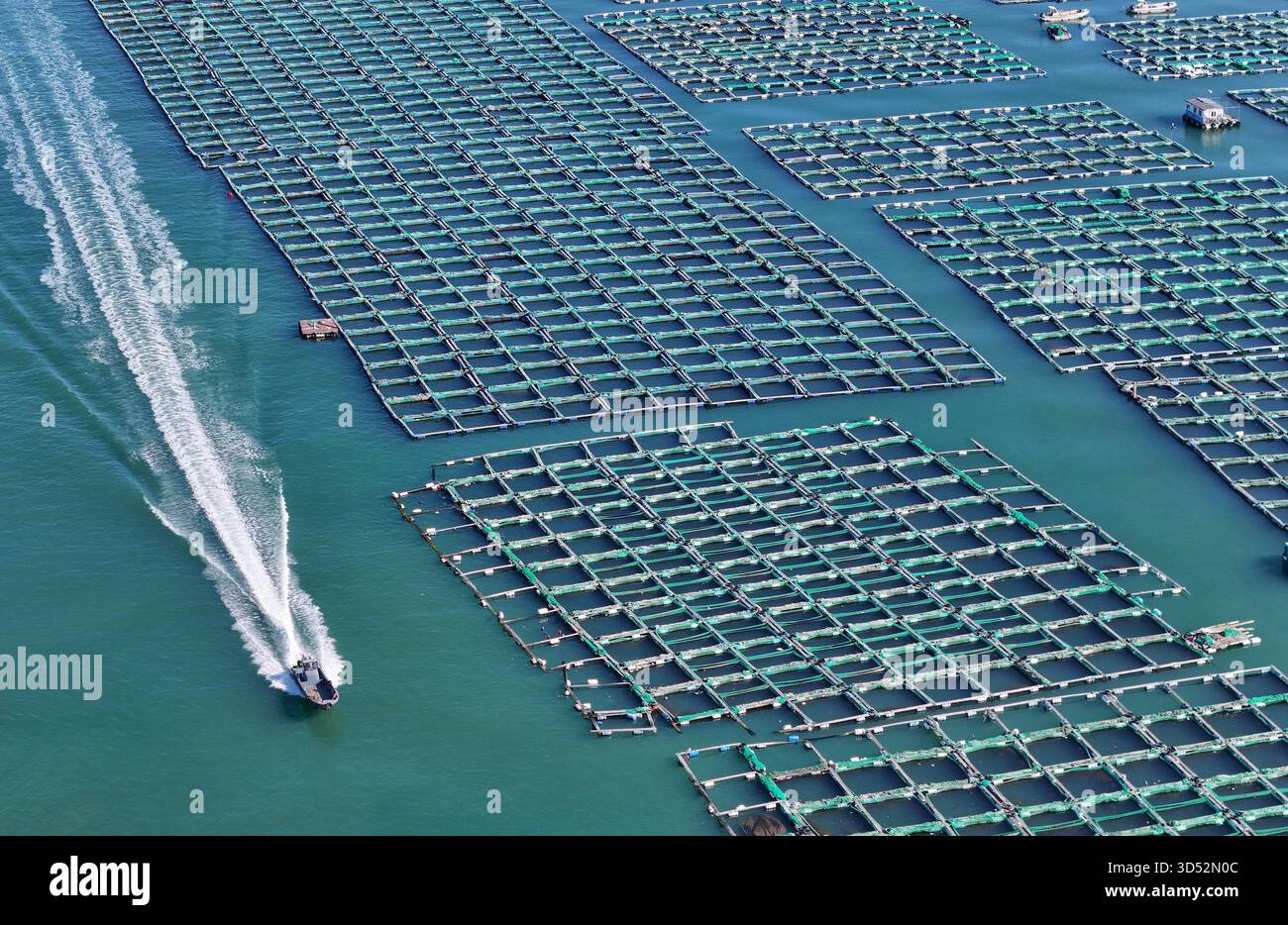 YANTAI, CHINA - NOVEMBER 13, 2025 - Ocean Ranch located in the Zhifu ...