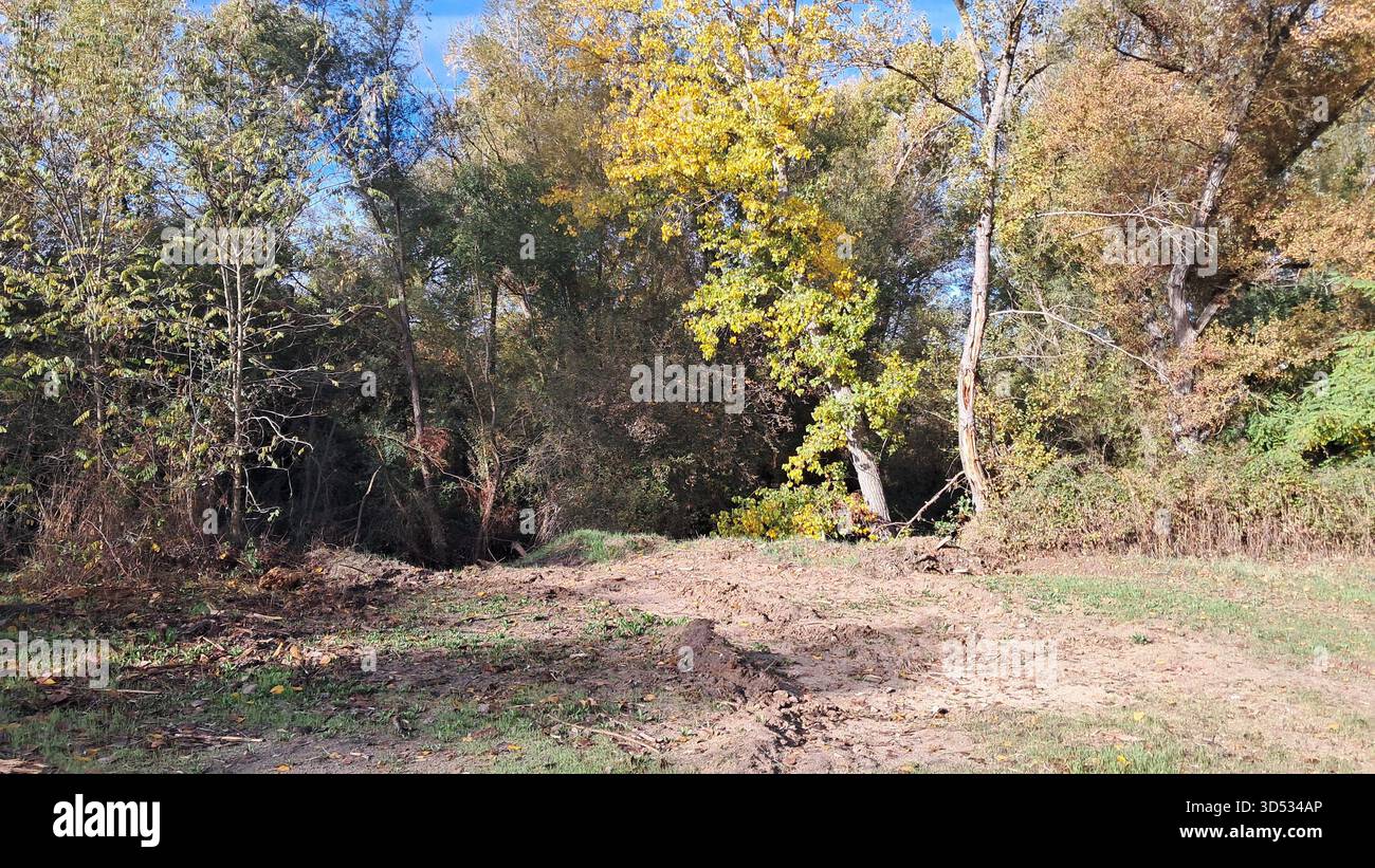 El pardo madrid 2025 hi-res stock photography and images - Alamy