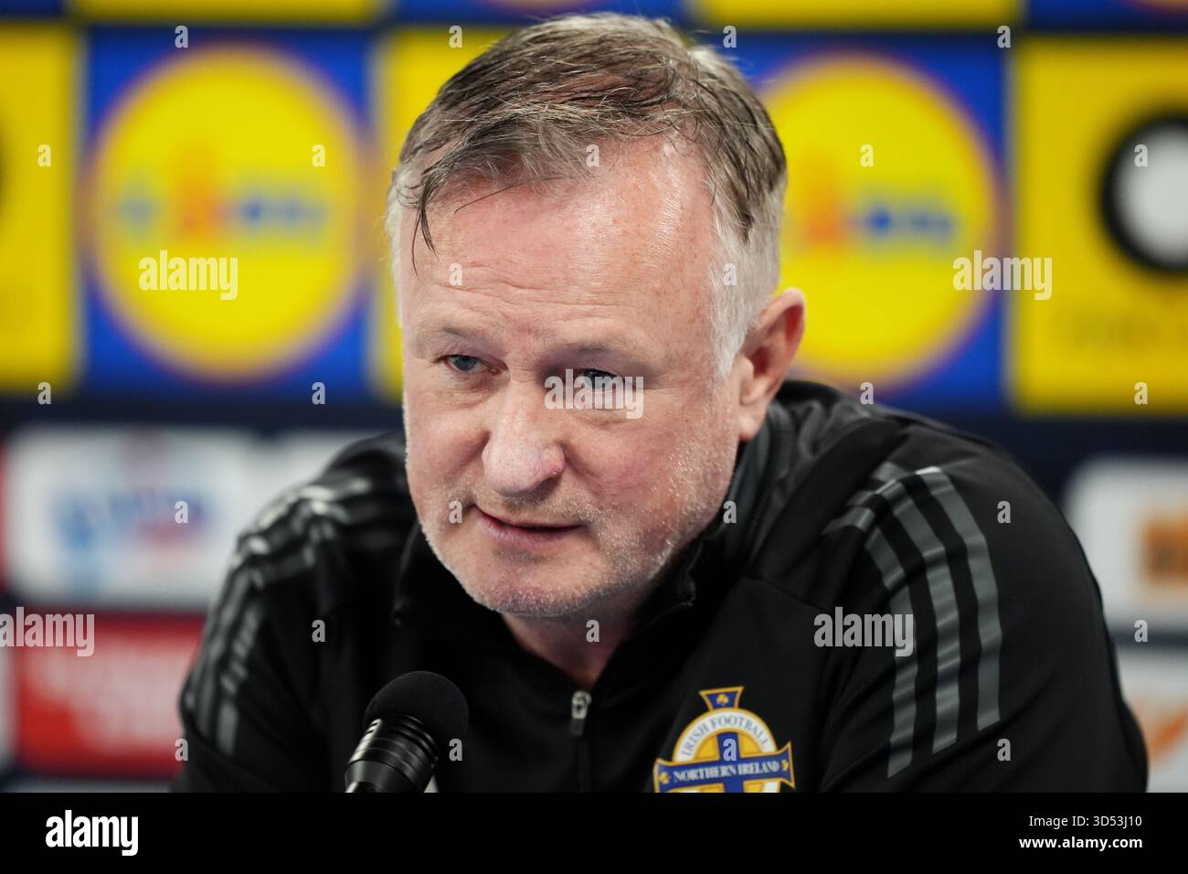 Northern Ireland manager Michael O'Neill during a press conference at ...
