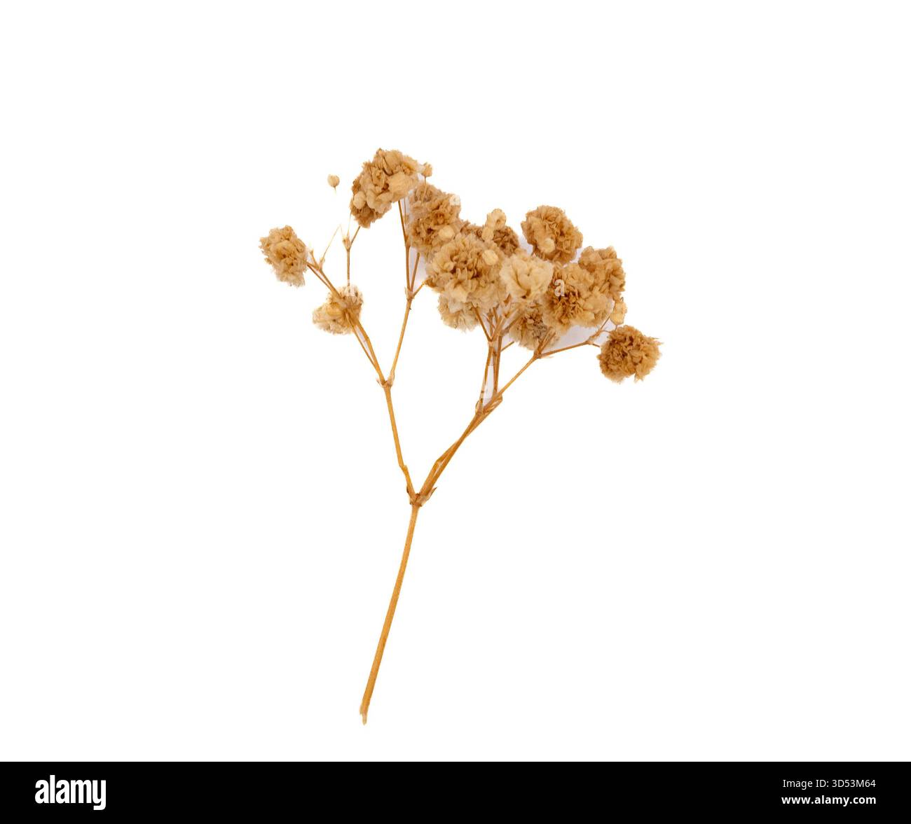 Home decor concepts vintage Cut Out Stock Images & Pictures - Alamy