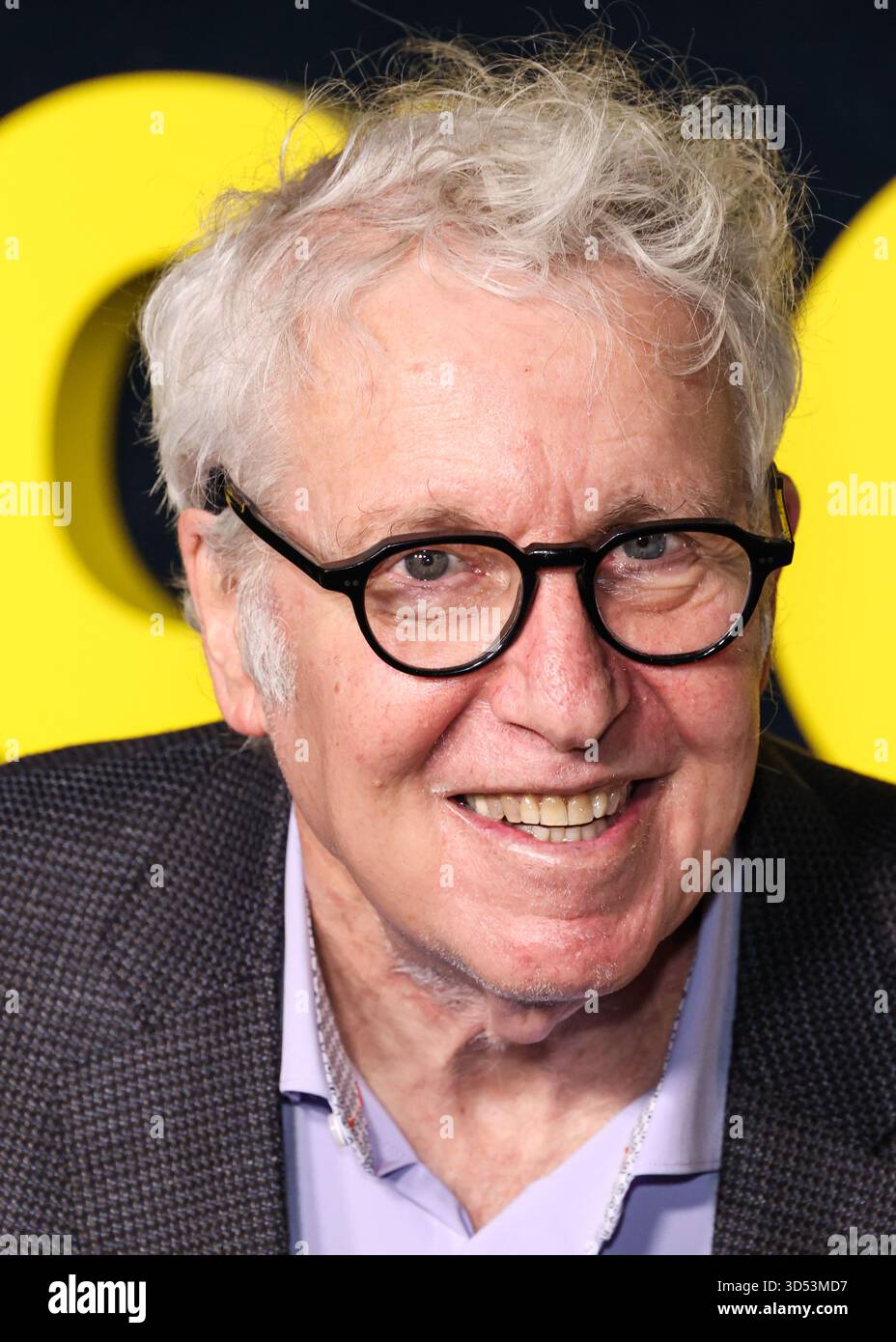 HOLLYWOOD, LOS ANGELES, CALIFORNIA, USA - NOVEMBER 12: American comedy ...