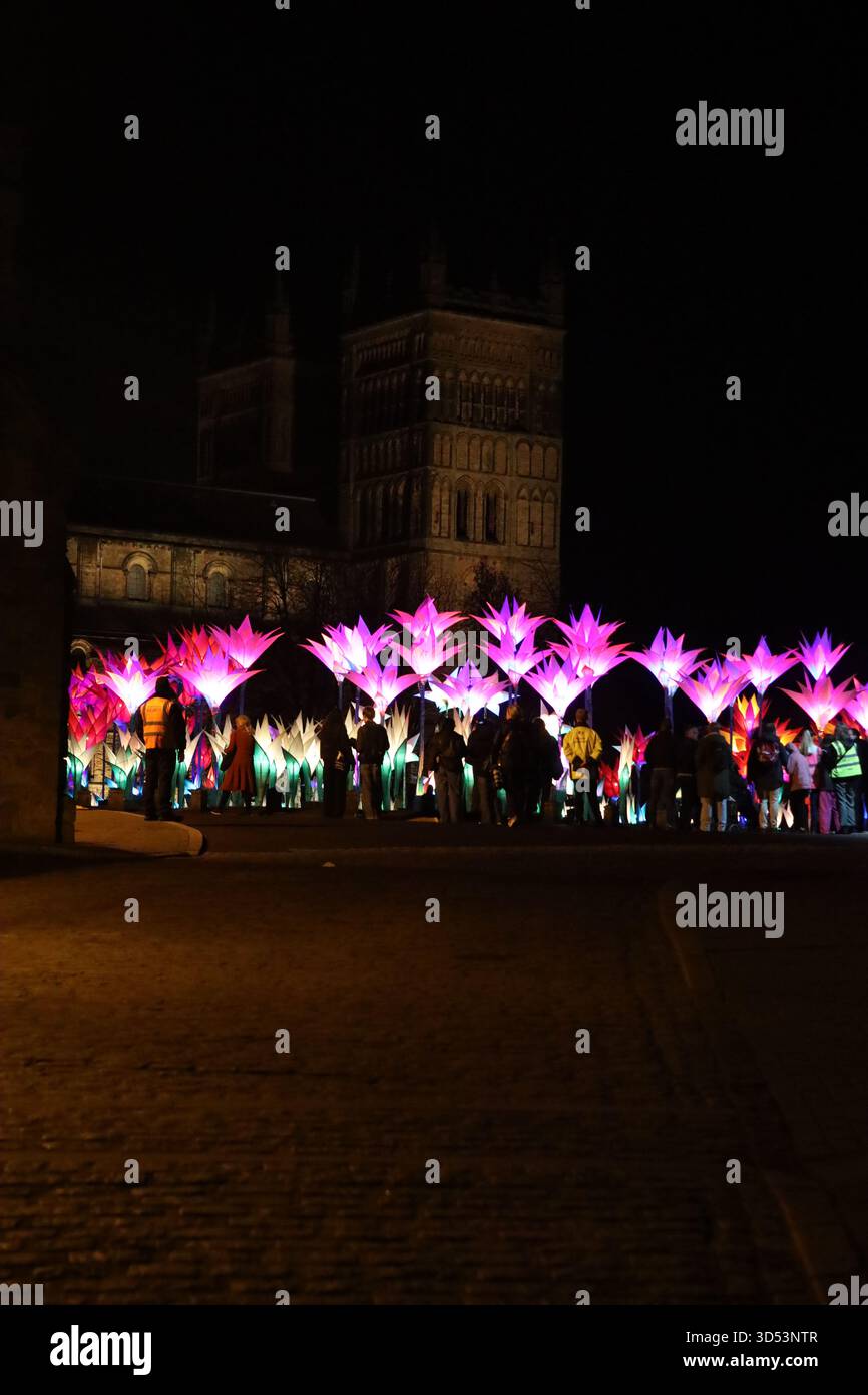 Durham Cathedral Lumiere Festival of Lights, Palace Green (outside ...