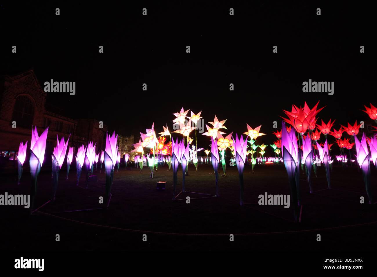 Durham Cathedral Lumiere Festival of Lights, Palace Green (outside ...