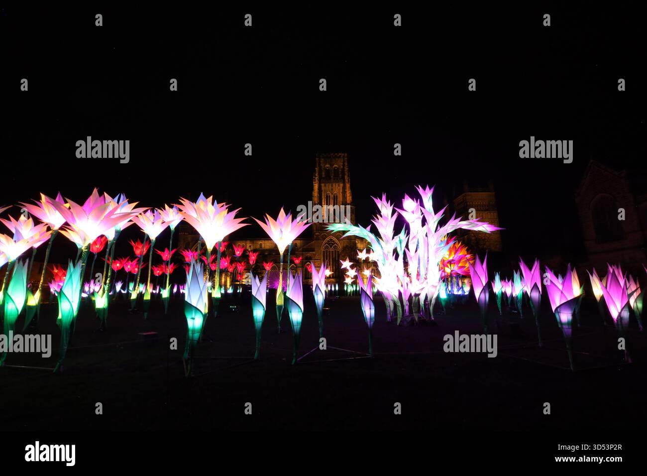 Durham Cathedral Lumiere Festival of Lights, Palace Green (outside ...