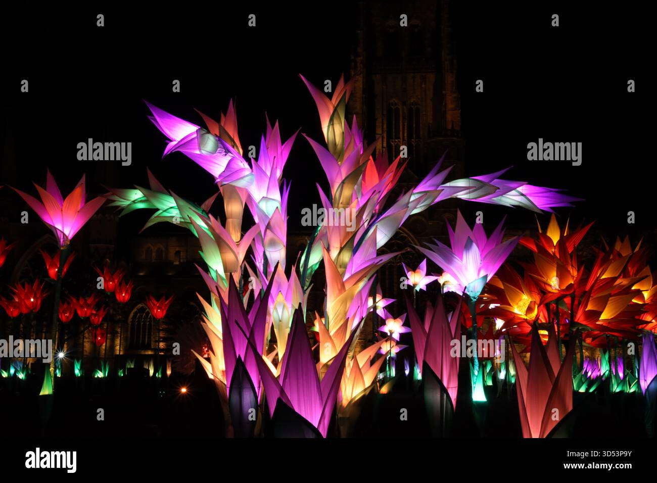 Durham Cathedral Lumiere Festival of Lights, Palace Green (outside ...